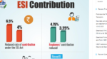 Understanding ESI Contribution: Rates and Limits Explained